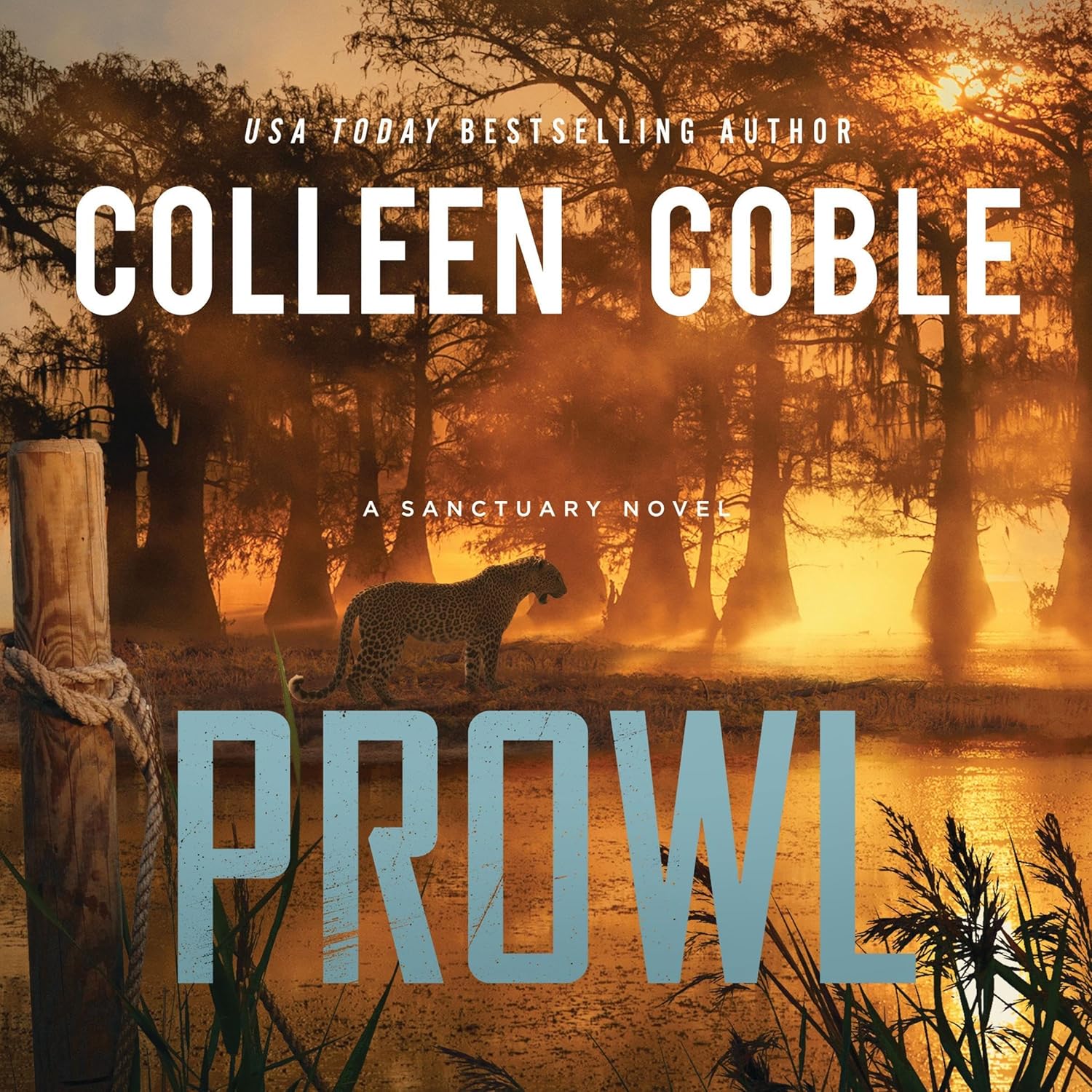 Amazon.com: Prowl: A Sanctuary Novel, Book 2 (Audible Audio Edition): Colleen Coble, Karen ...