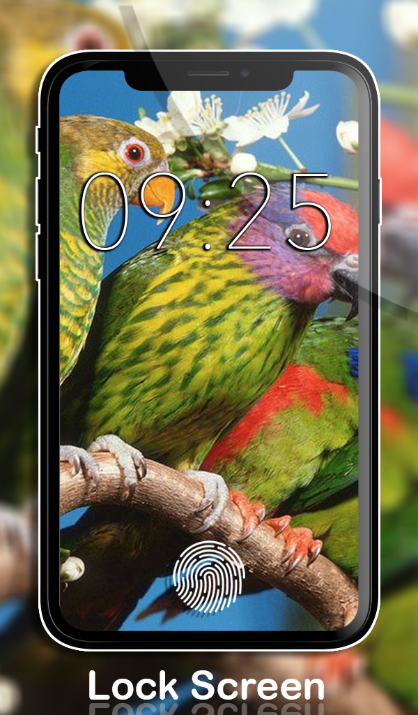 Birds Wallpapers HD & Backgrounds app | No Ads | Lock & Home Screen ...
