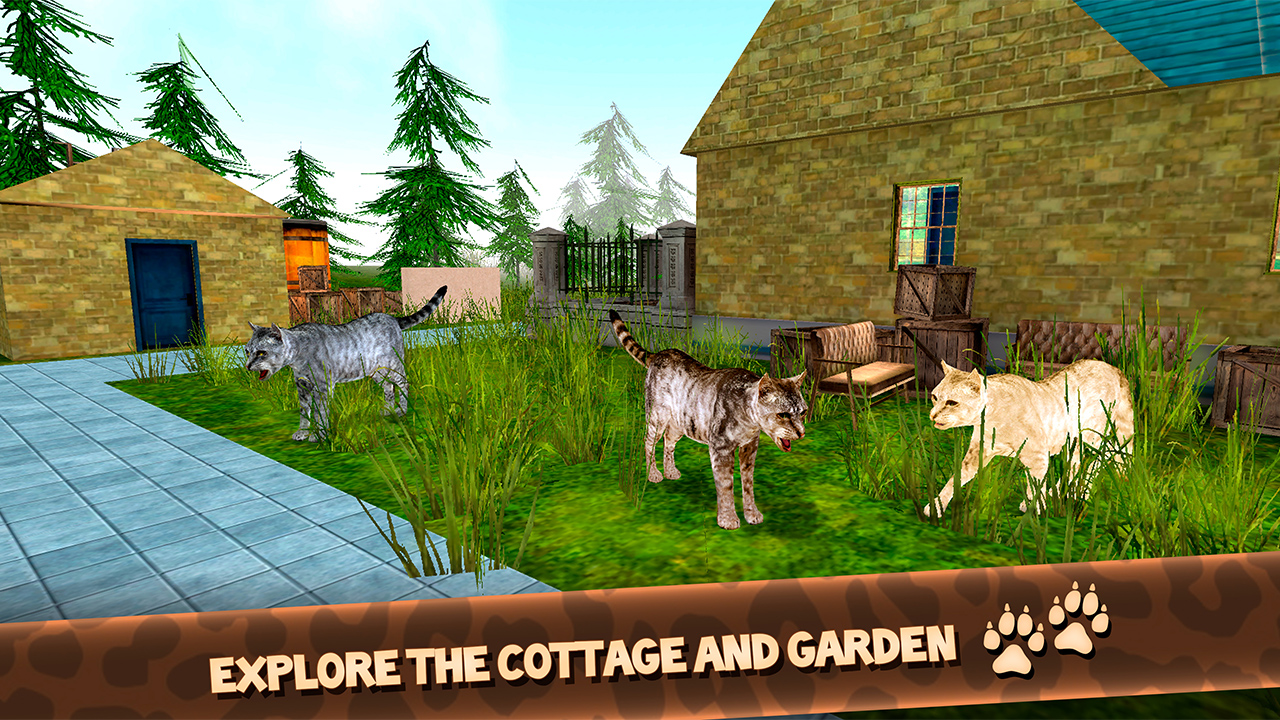 Pet House Game at Alan Matheny blog