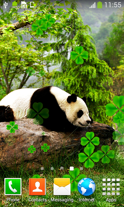 Panda Live Wallpapers Panda Wallpapers: Free HD Download [500+ HQ]
