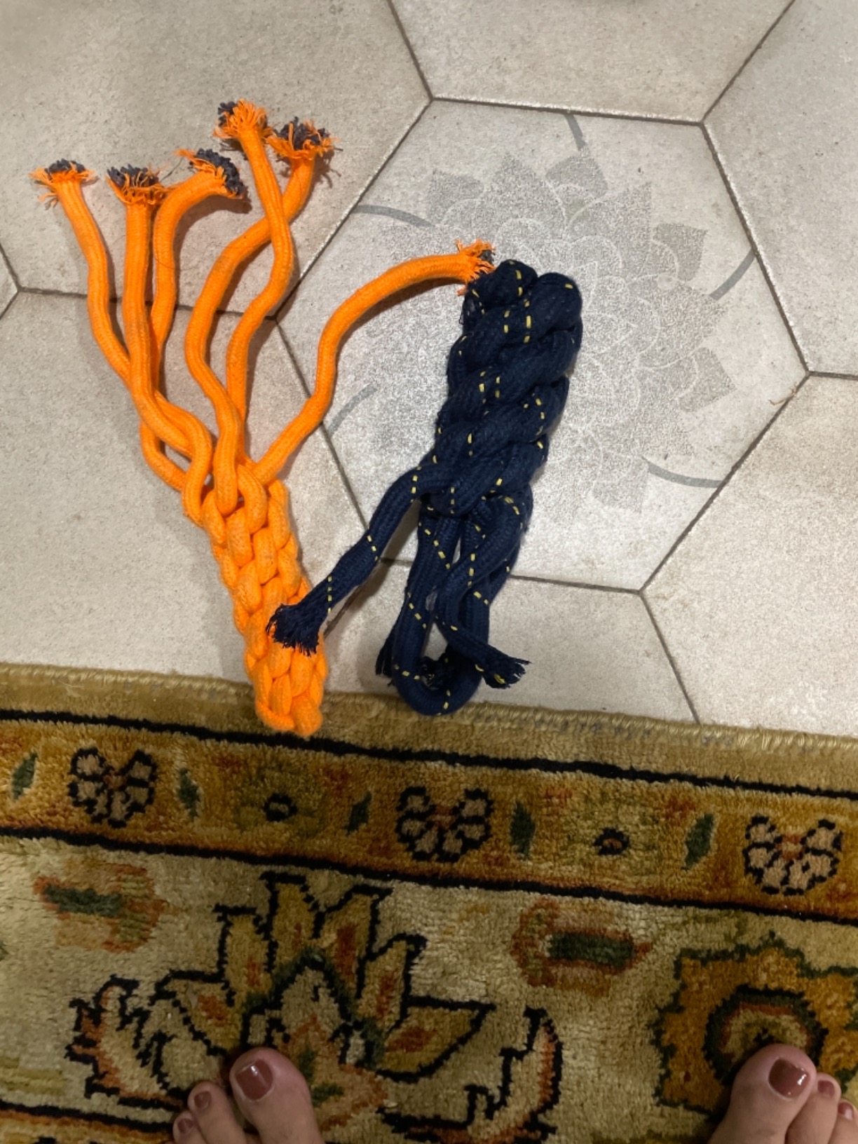 Buy Pet King New Blue Indestructible 3 in 1 Combo Cotton Chewing Rope ...