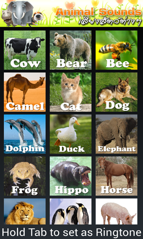 Animal Sounds