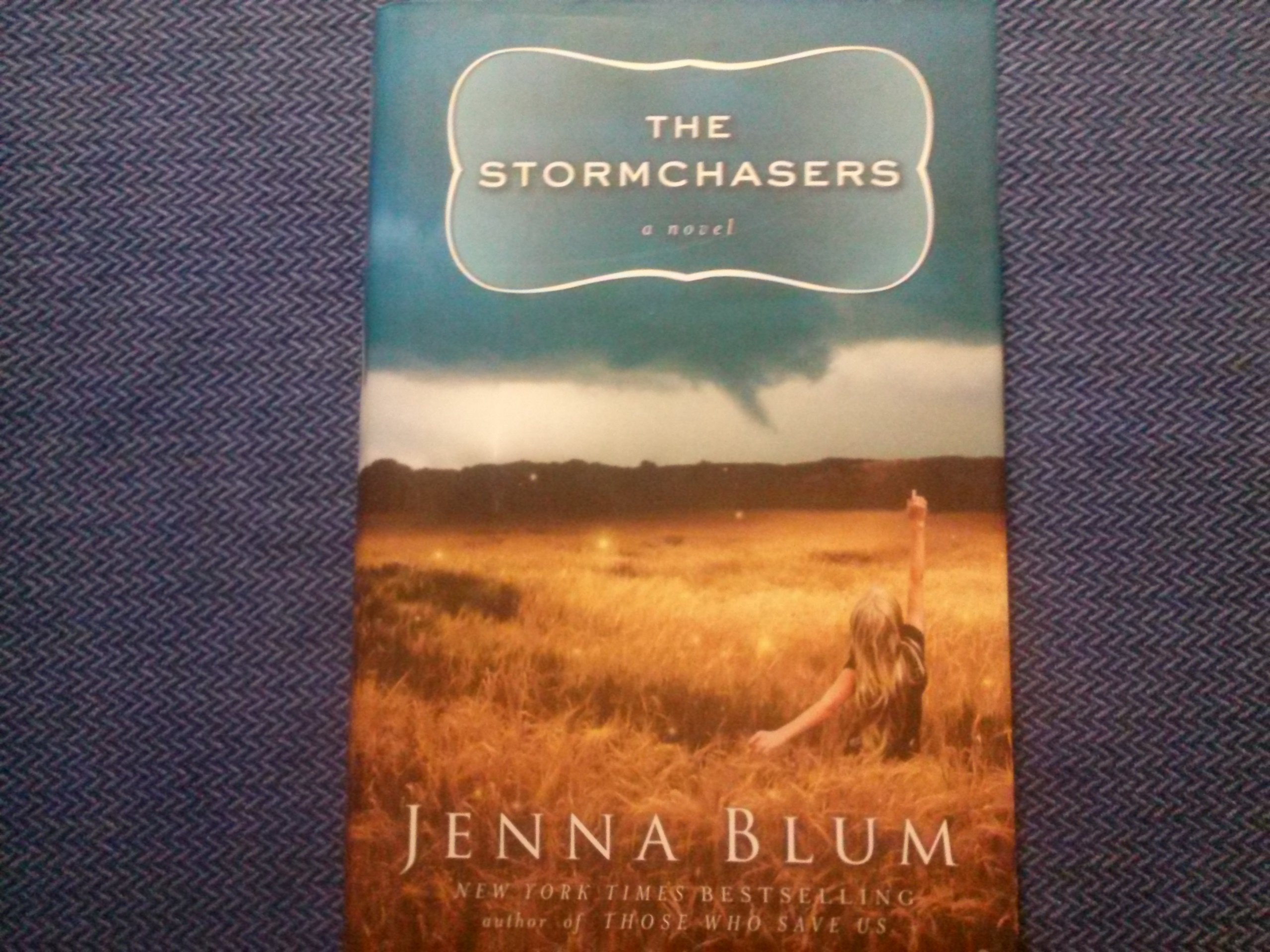 Amazon.com: The Stormchasers: 9780525951551: Blum, Jenna: Books