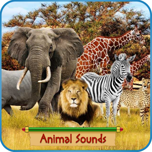Animal Sounds Fun - App on Amazon Appstore