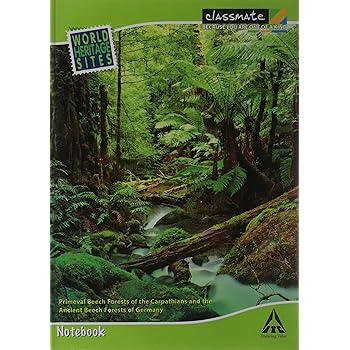 Classmate Long Notebook - Single Line, 400 Pages, 297mm x 210mm (Pack ...