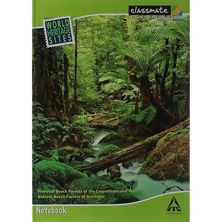Classmate Long Notebook - 140 Pages, Single Line, 297mm x 210mm (Pack ...