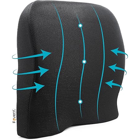 FOVERA Back Support for Chair, Orthopedic Lumbar Support Memory Foam ...