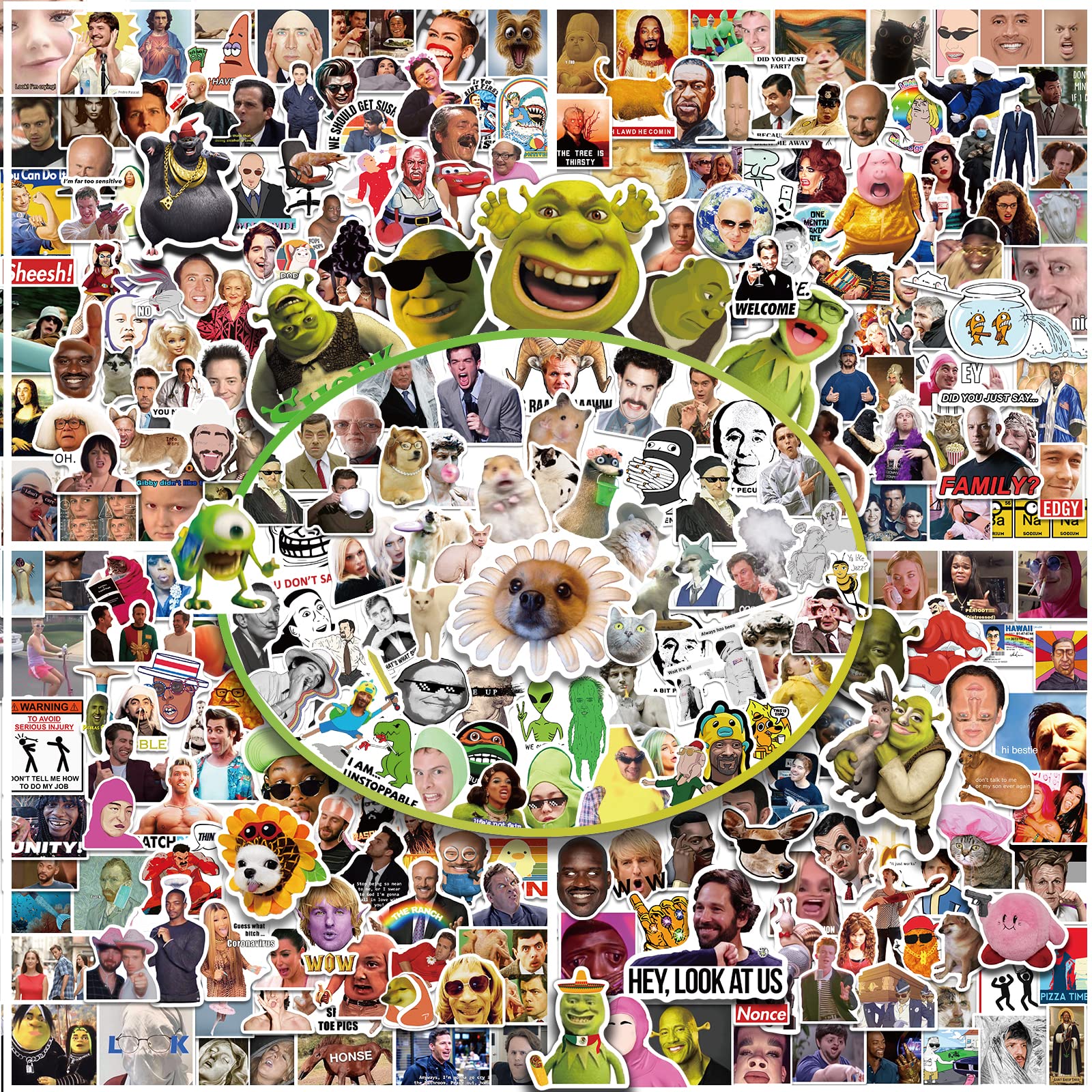 300pcs Meme Stickers Pack Funny Stickers For Adults Vinyl Stickers ...