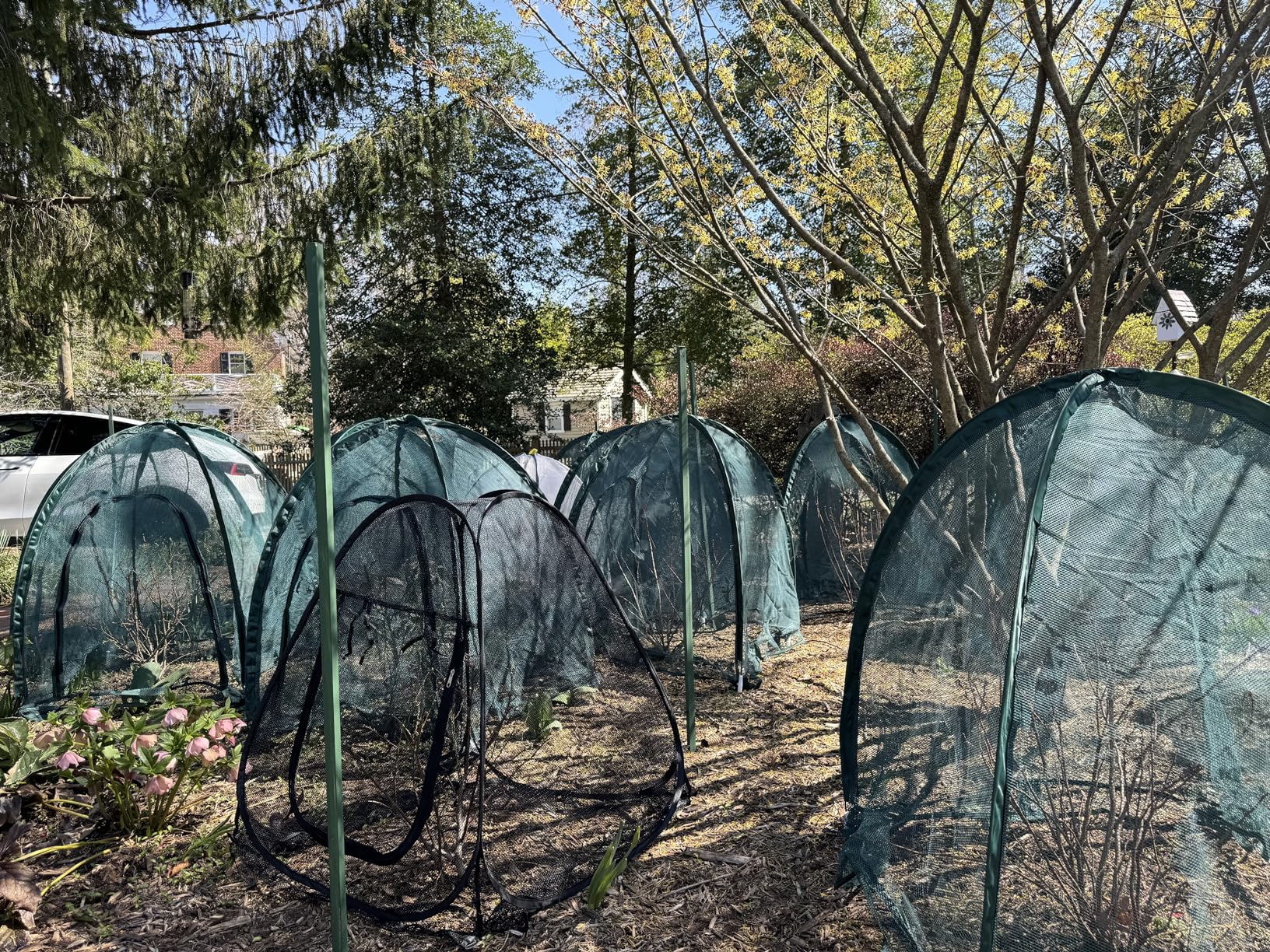 Amazon.com : Wowangce 6 Pcs Pop up Gardening Net Covers 25.6x 25.6 x 32 ...