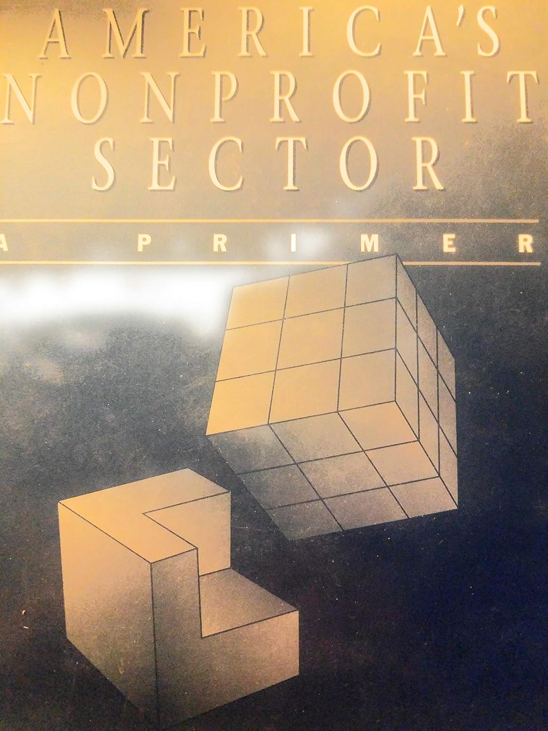 America's Nonprofit Sector: A Primer: Salamon, Lester M.: 9780879544515 ...
