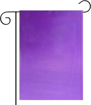 Amazon.com : 30ft String Flag Set of 20 Latin American Country Flags ...