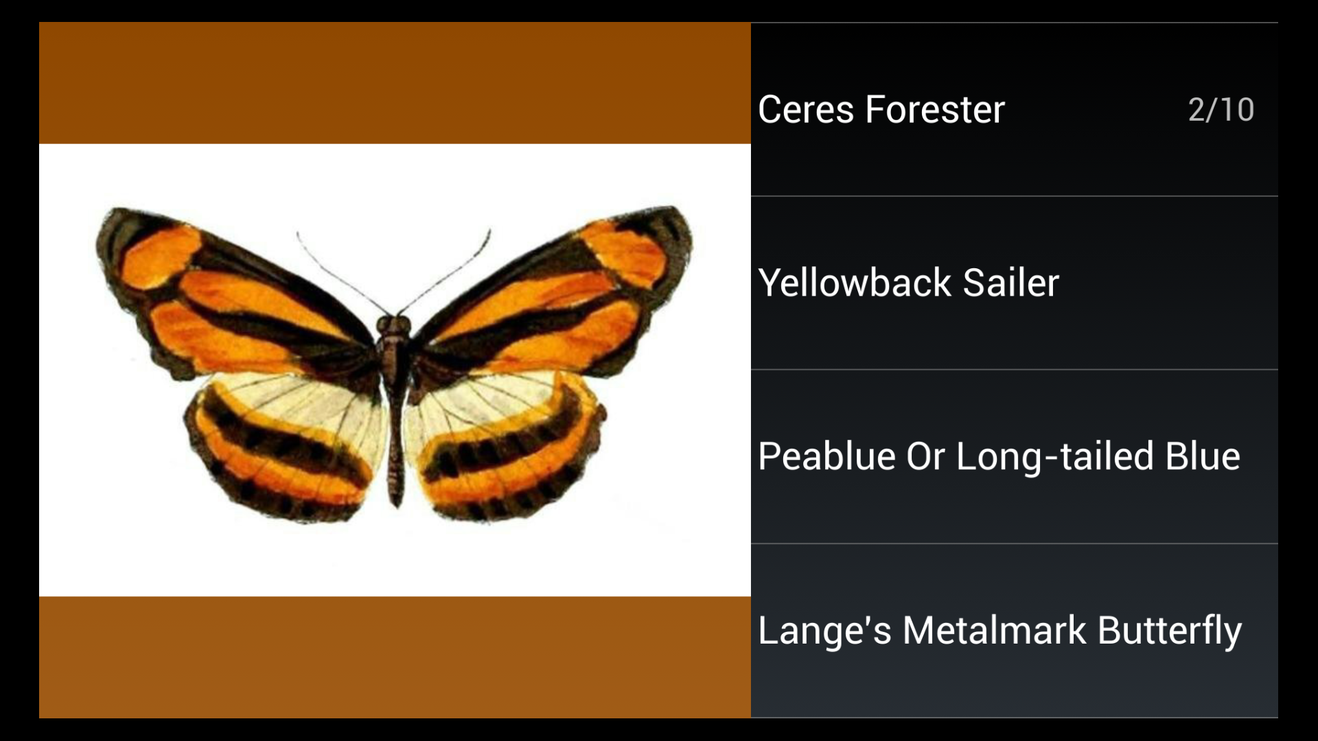 Butterfly Species Trivia Quiz - App on Amazon Appstore