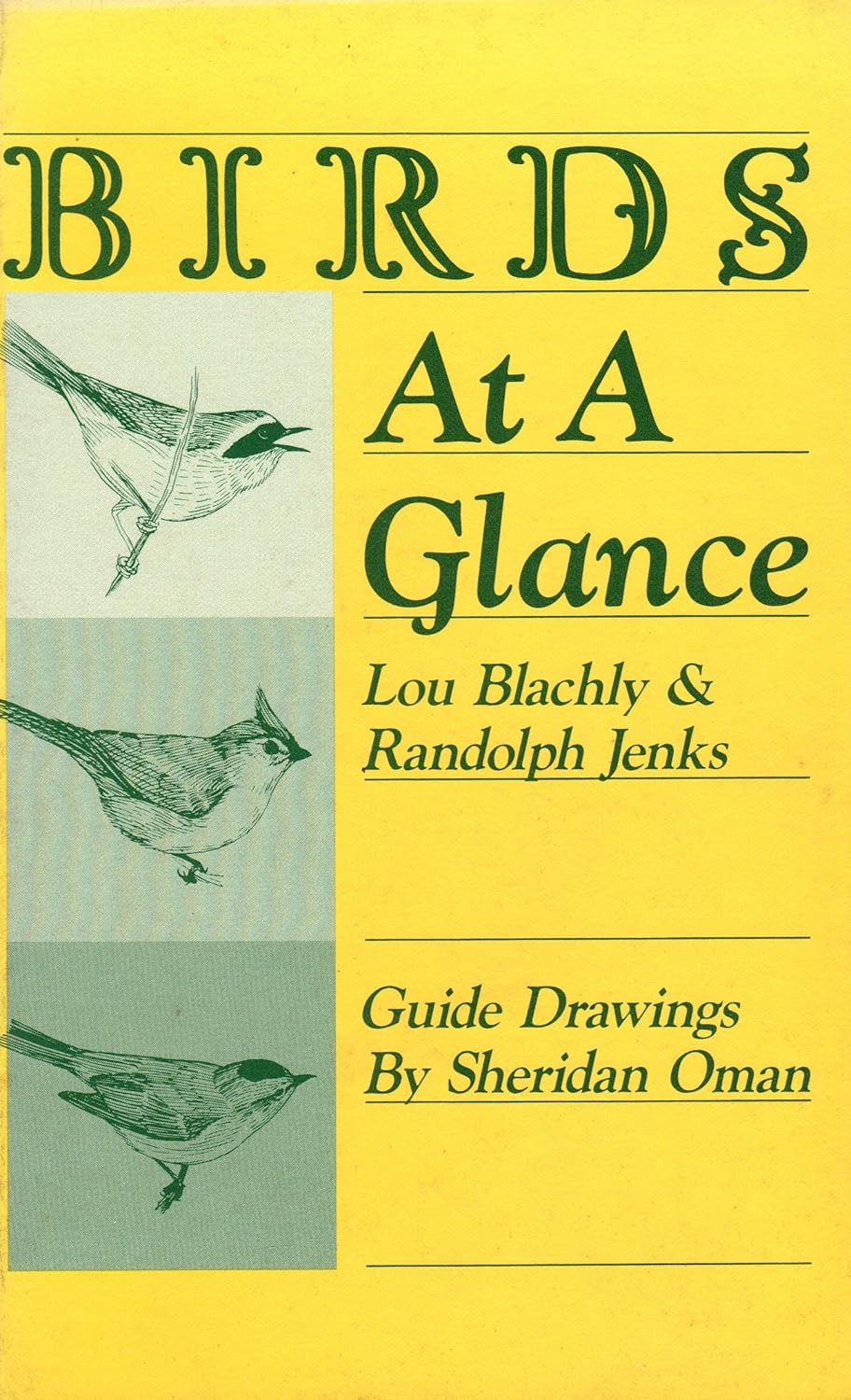 Birds at a Glance: A Guide to the Eastern Land Birds from South ...