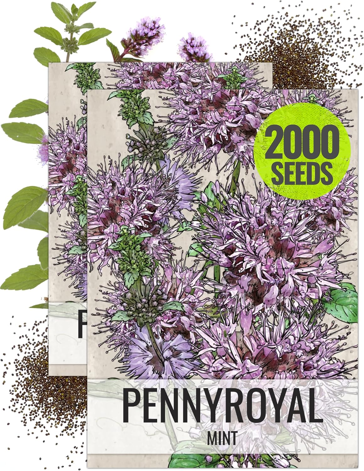 Amazon.com : Seed Needs, Pennyroyal Mint Seeds - 1,000 Heirloom Seeds ...