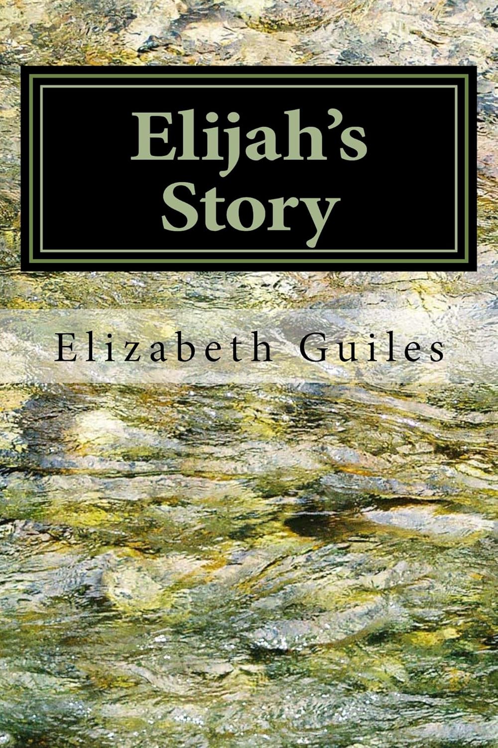 Amazon.com: Elijah's Story eBook : Guiles, Elizabeth: Kindle Store