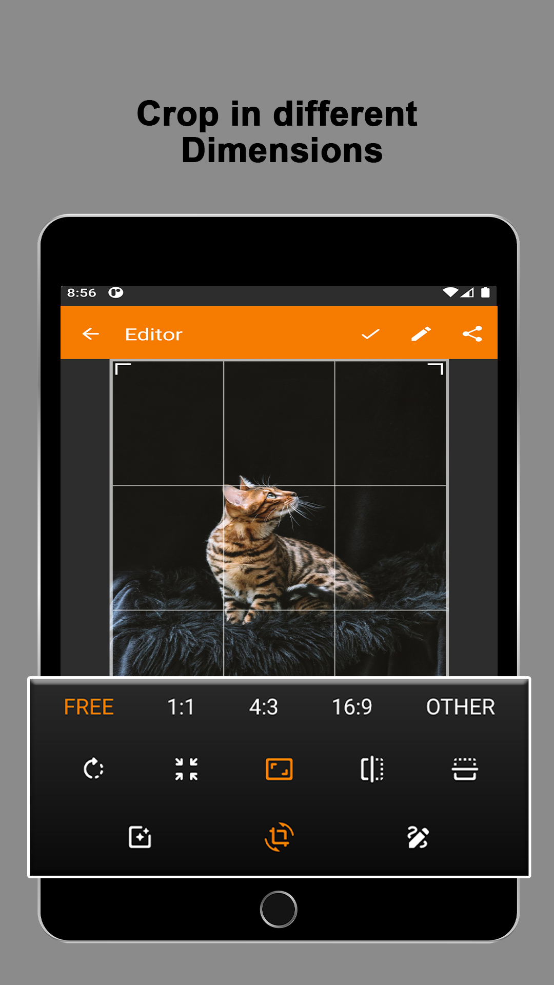 Simple Gallery Pro - App on the Amazon Appstore