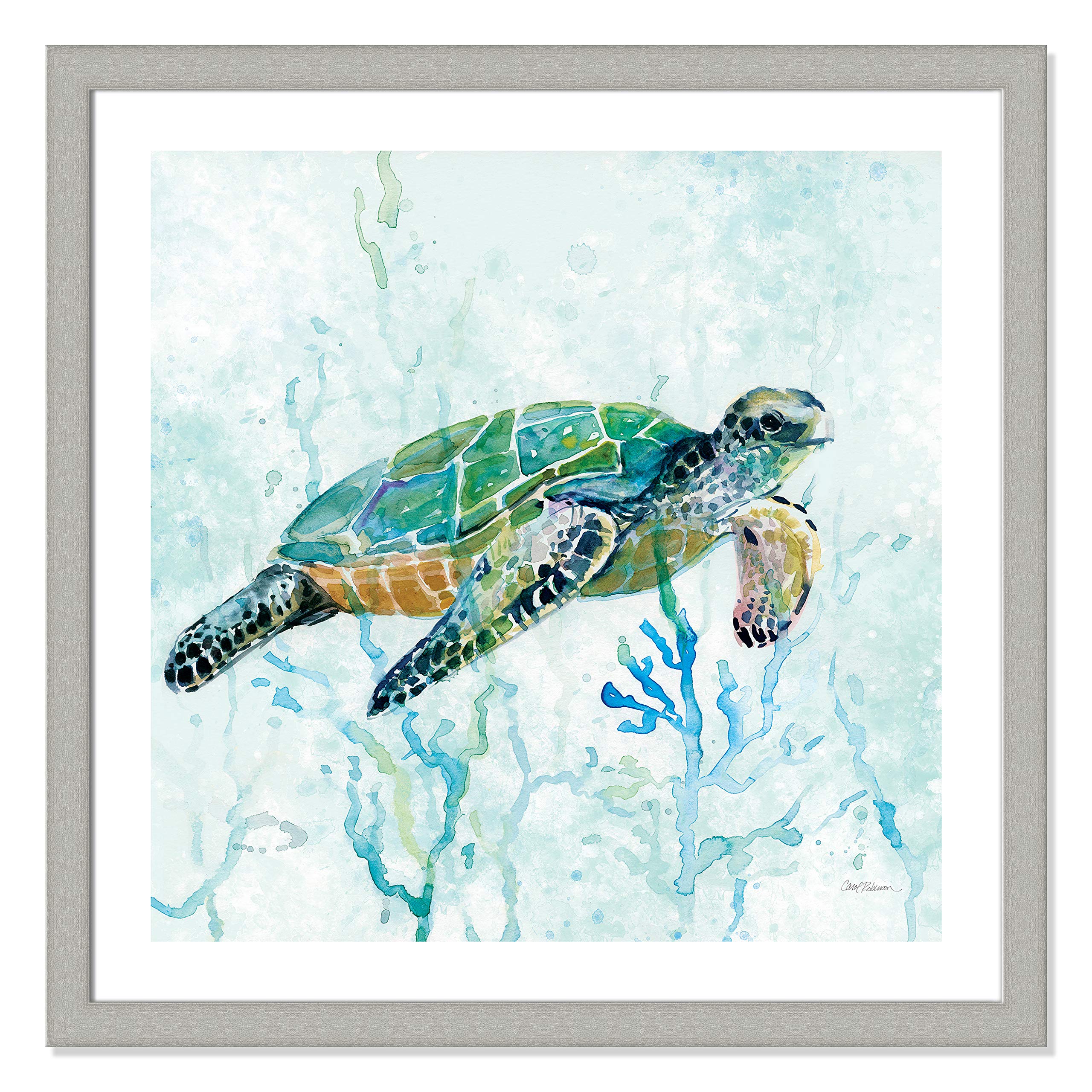 Olive Ridley Sea Turtle Drawing