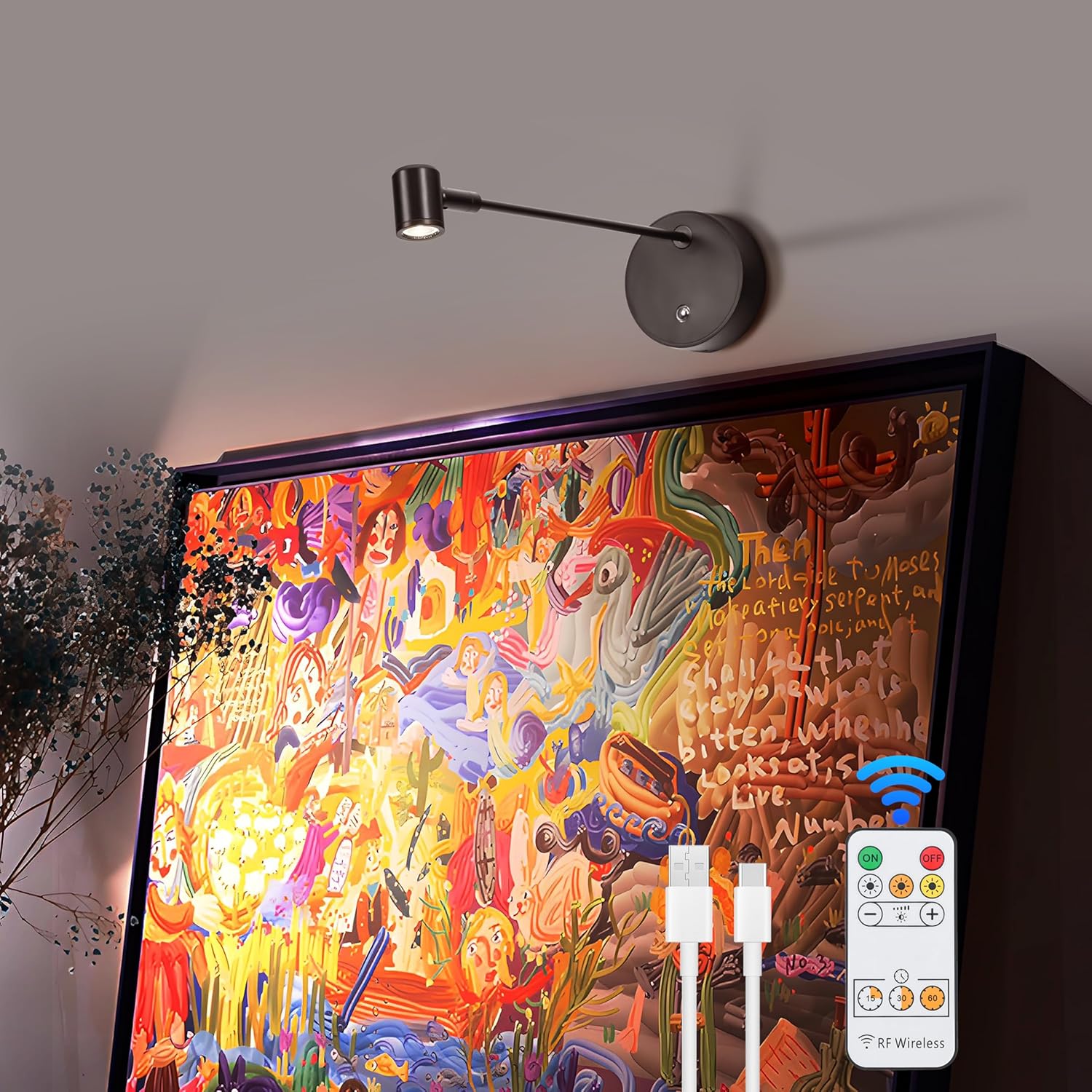 Ziqili Black Picture Lights for Wall Battery Operated Rechargeable ...