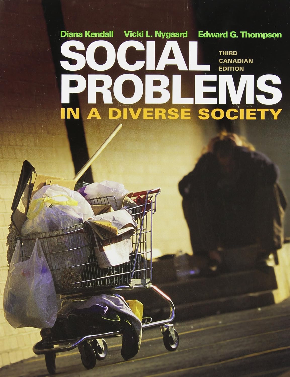 Social Problems in a Diverse Society, Third Canadian Edition (3rd ...