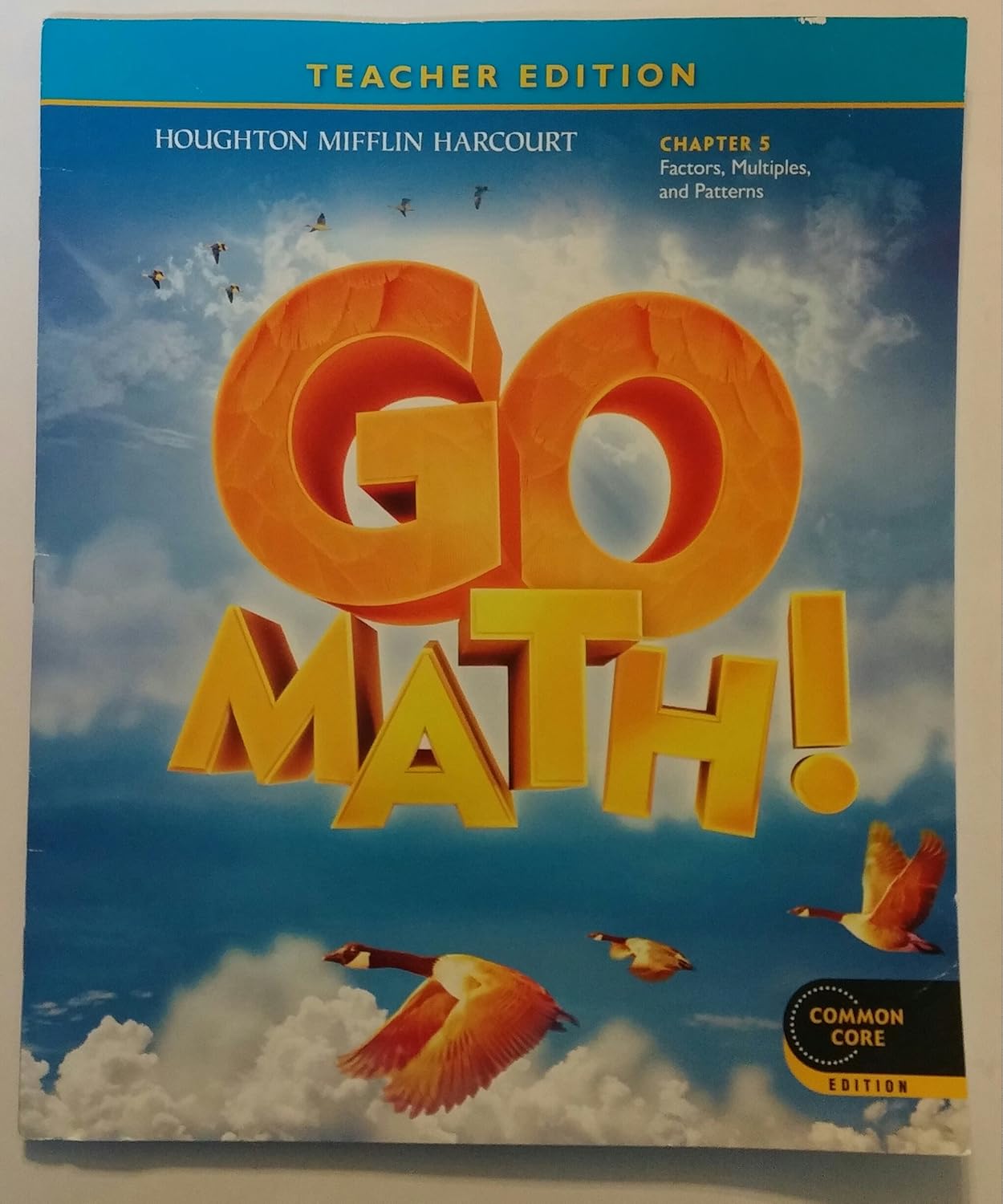 Amazon.com: GO MATH! Grade 4 Chapter 3: Multiply 2-Digit Numbers ...