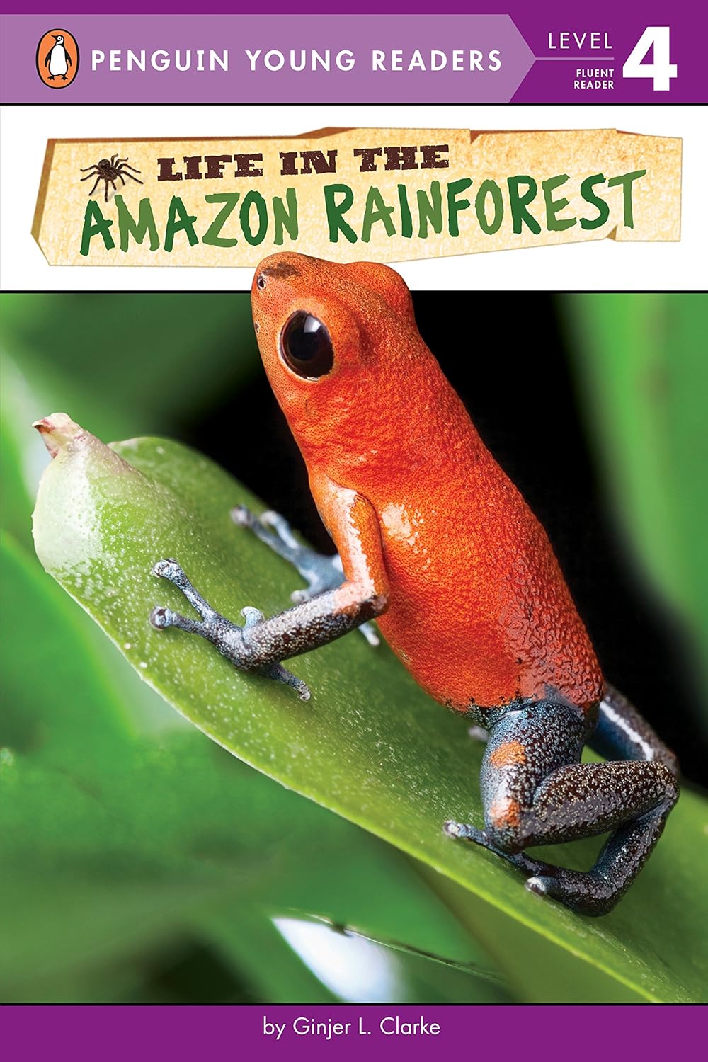 Amazon.com: Life in the Amazon Rainforest (Penguin Young Readers, Level ...