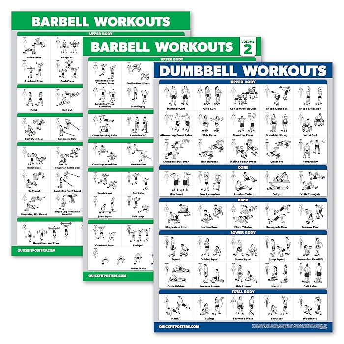 Buy Palace Learning 3 Pack - Barbell Workout Posters Volume 1 & 2 ...