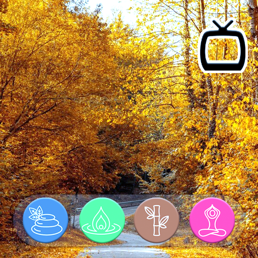 Enchanting Autumn Forests Screensaver - App on Amazon Appstore