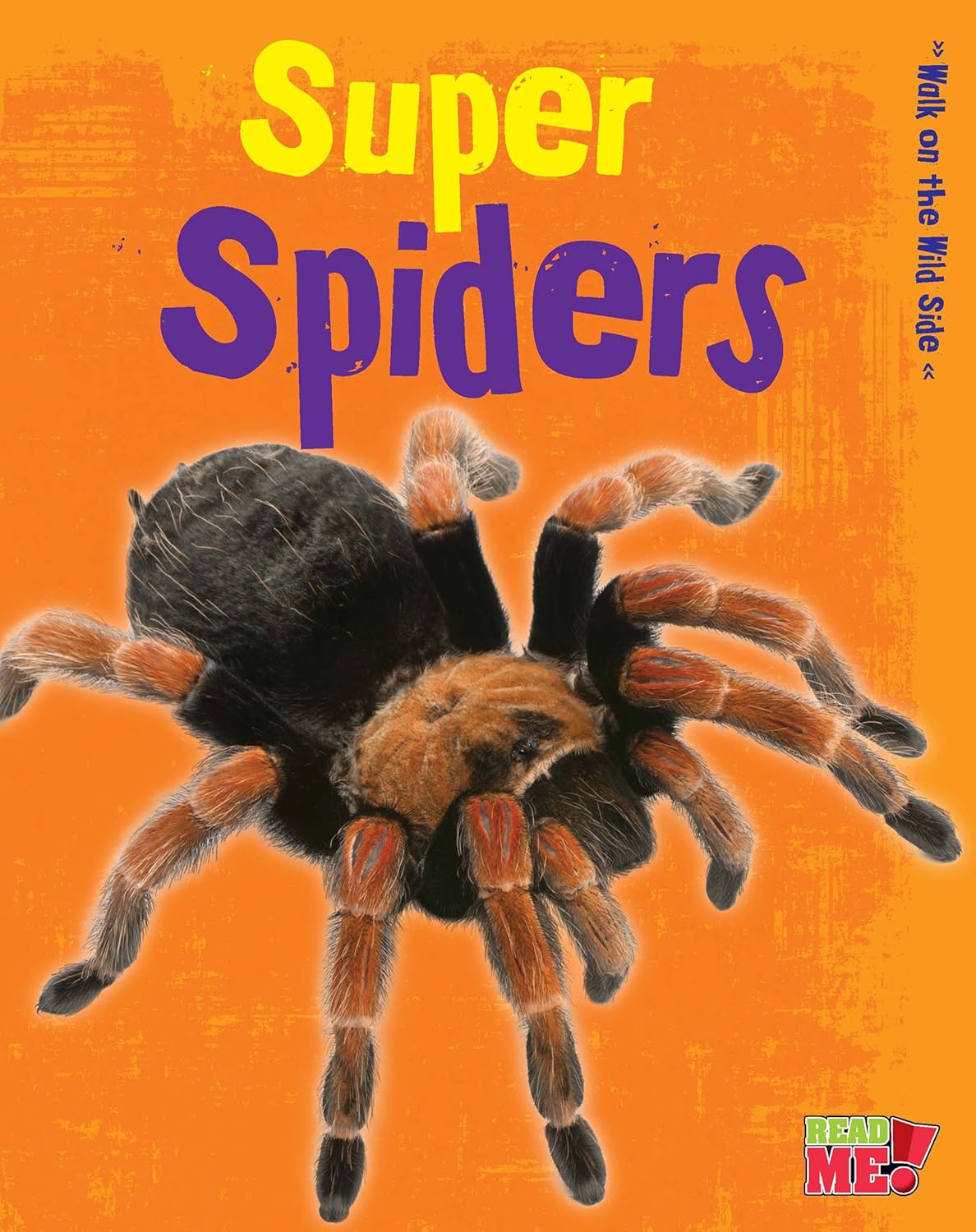 Super Spiders (Walk on the Wild Side) - Kindle edition by Guillain ...