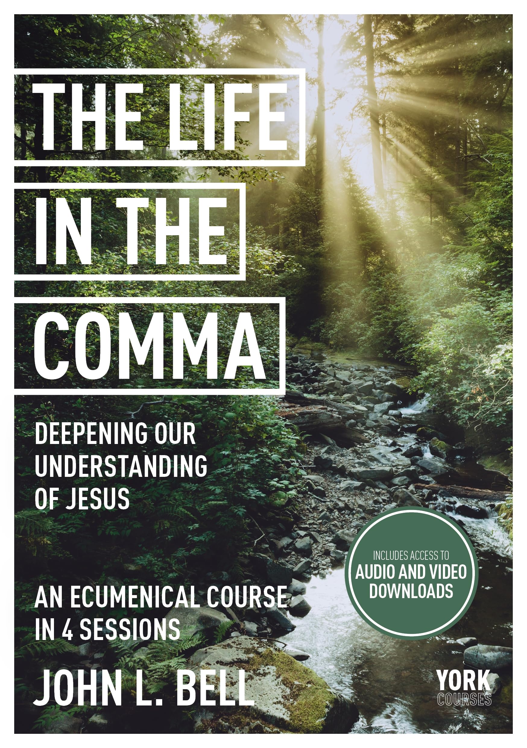 The Life in the Comma: Deepening Our Understanding of Jesus: York Courses: Amazon.co.uk: Bell ...