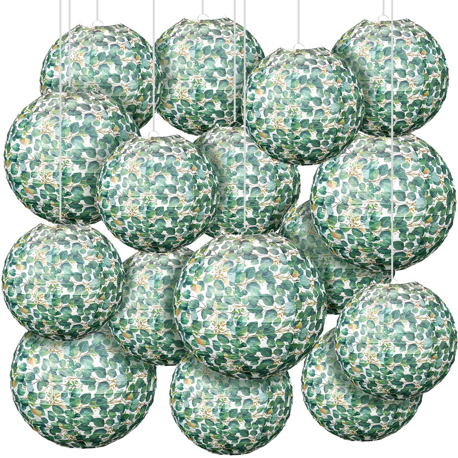 Chiisong 16 Pcs Eucalyptus Classroom Decorations Green Paper Lanterns ...