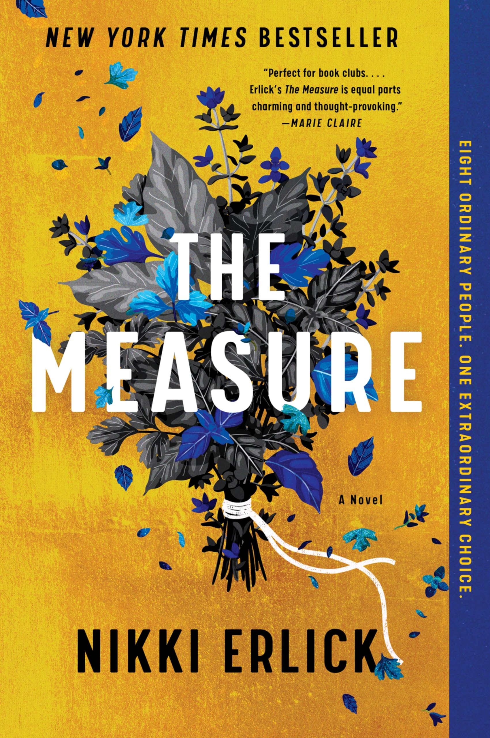 Amazon.com: The Measure: A Novel: 9780063204218: Erlick, Nikki: Books