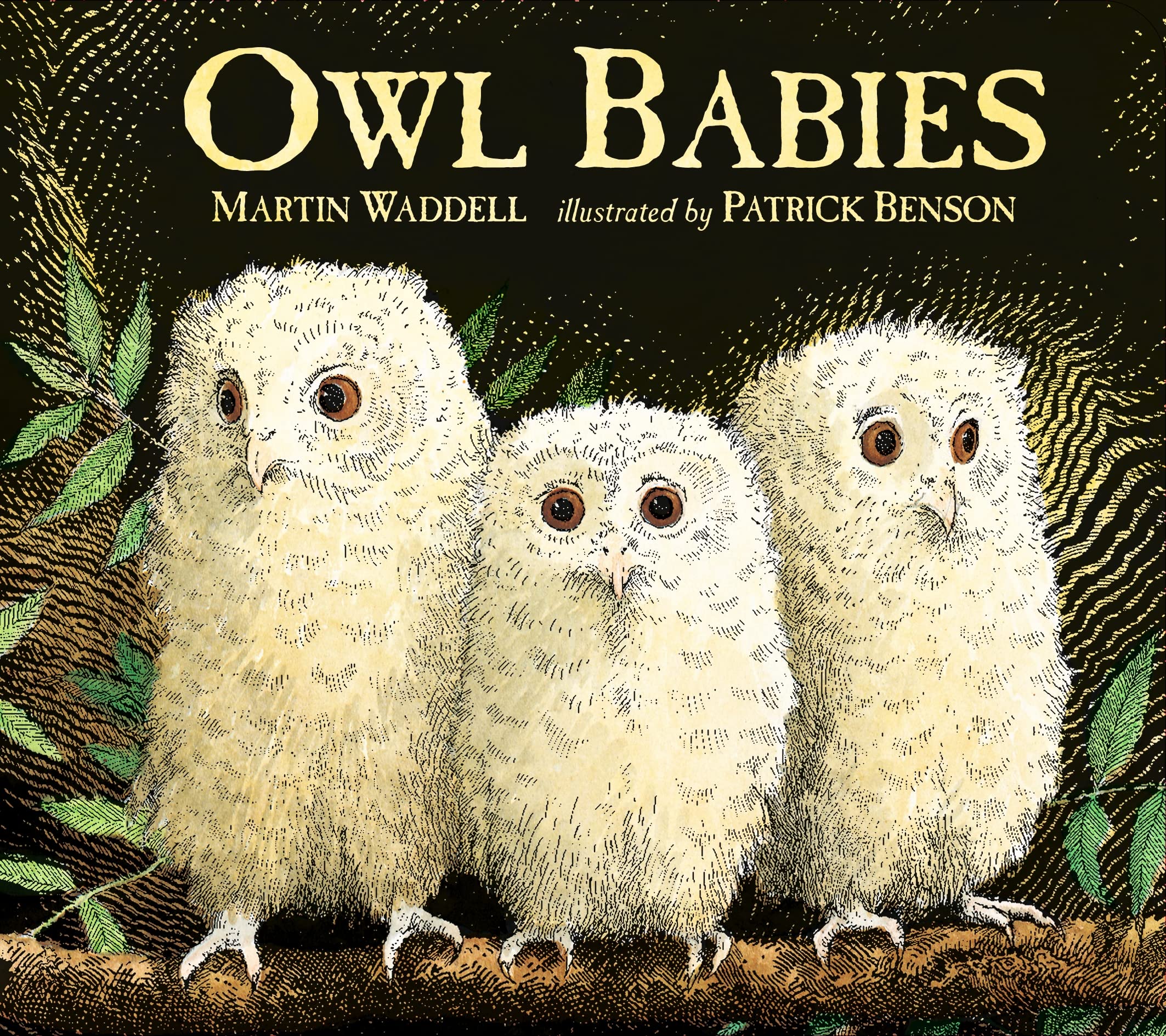Owl Babies : Waddell, Martin, Benson, Patrick: Amazon.co.uk: Books