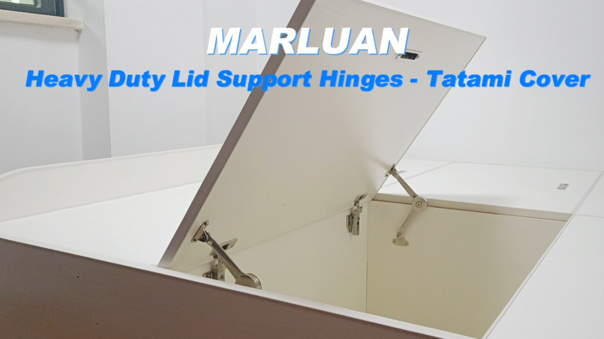 Watch Heavy Duty Lid Support Hinge--Lid Stay Support 40lb/2pcs on ...