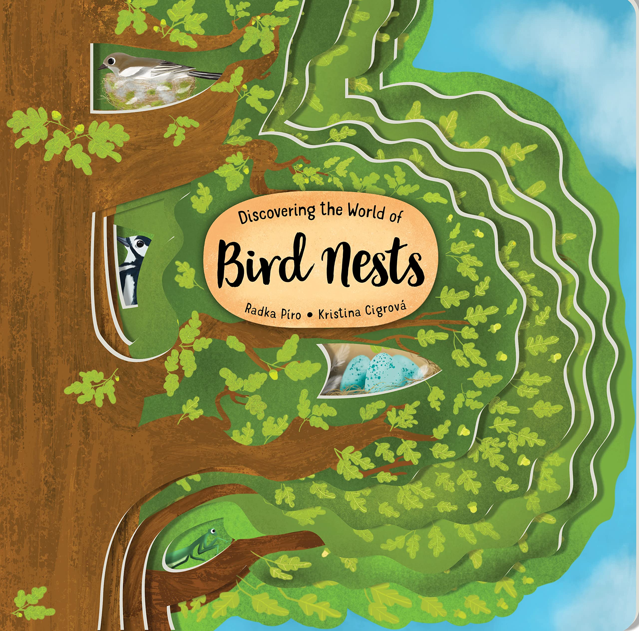 Discovering the World of Bird Nests (Happy Fox Books) One-of-a-Kind ...