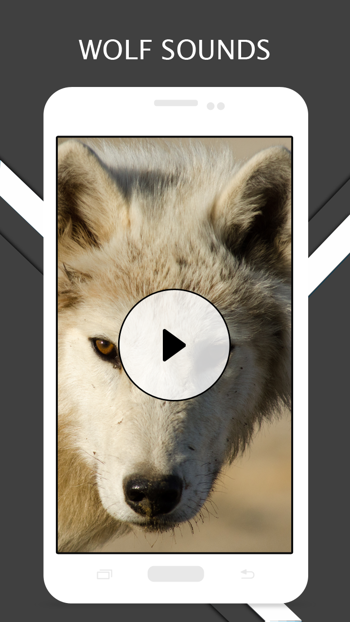 Wolf Sounds - App on Amazon Appstore