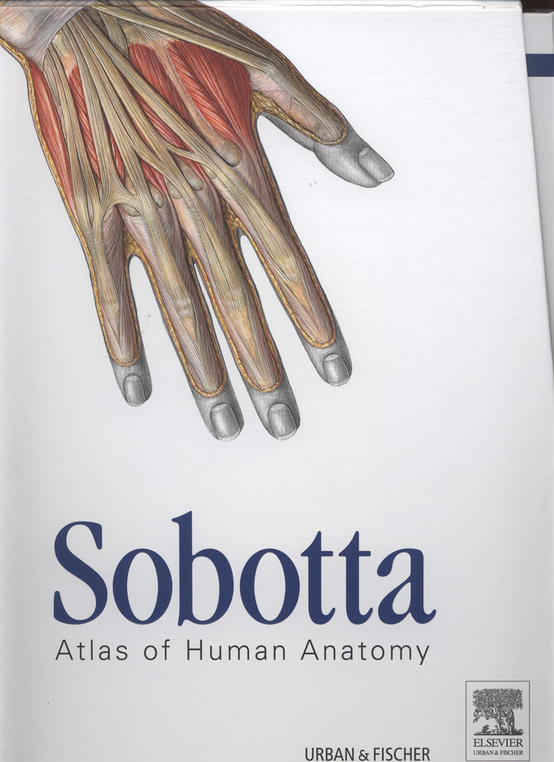 Sobotta Atlas Of Human Anatomy Package 15th Ed English Musculoskeletal ...