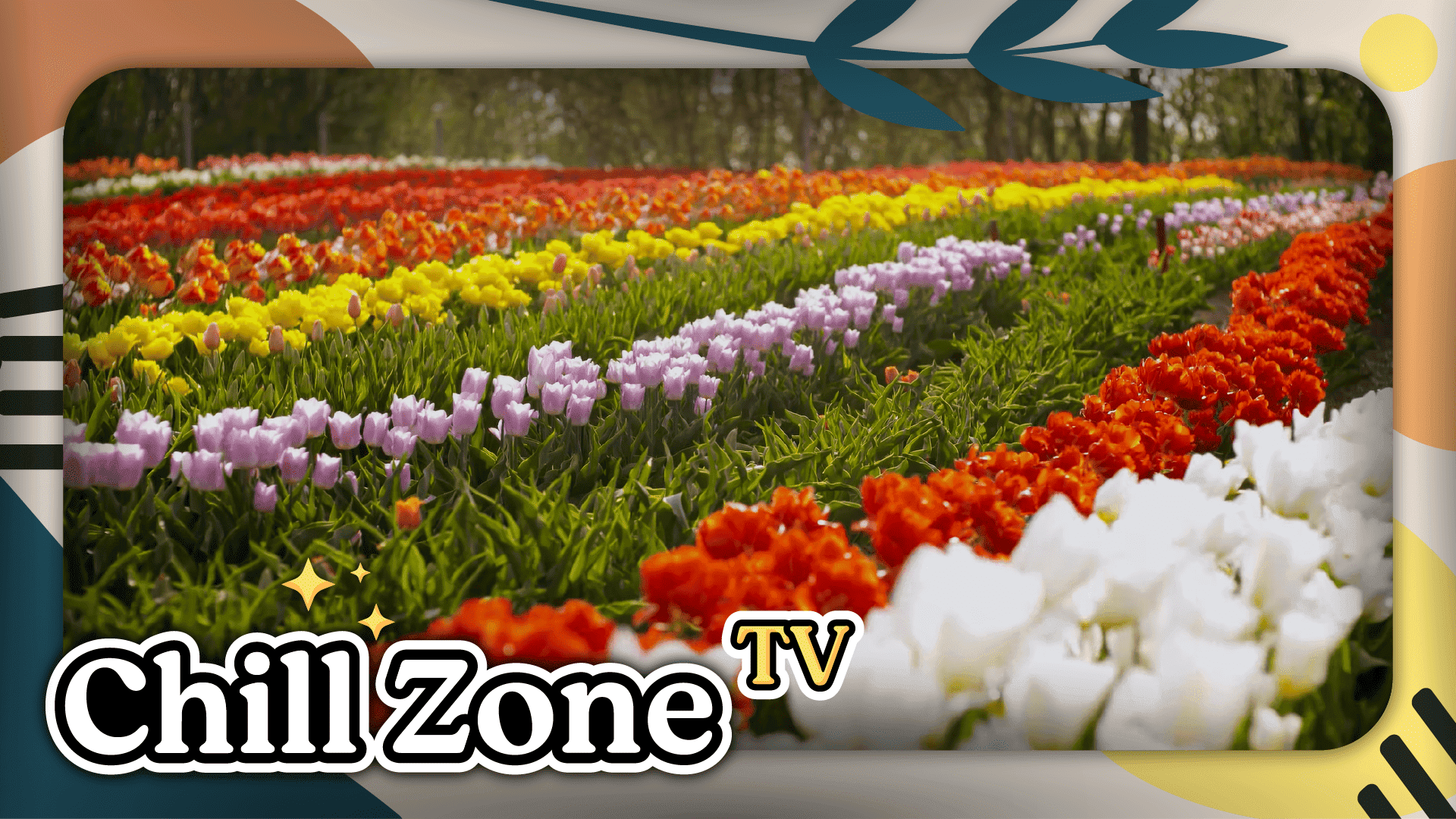 Chill Zone TV - App on Amazon Appstore