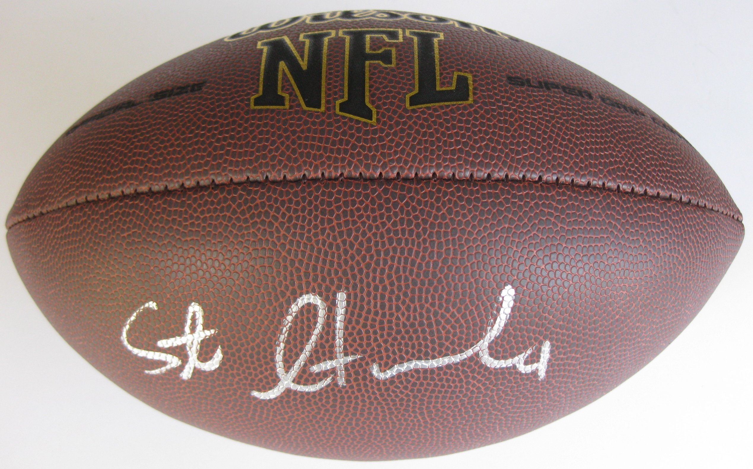 Steven Hauschka Bills