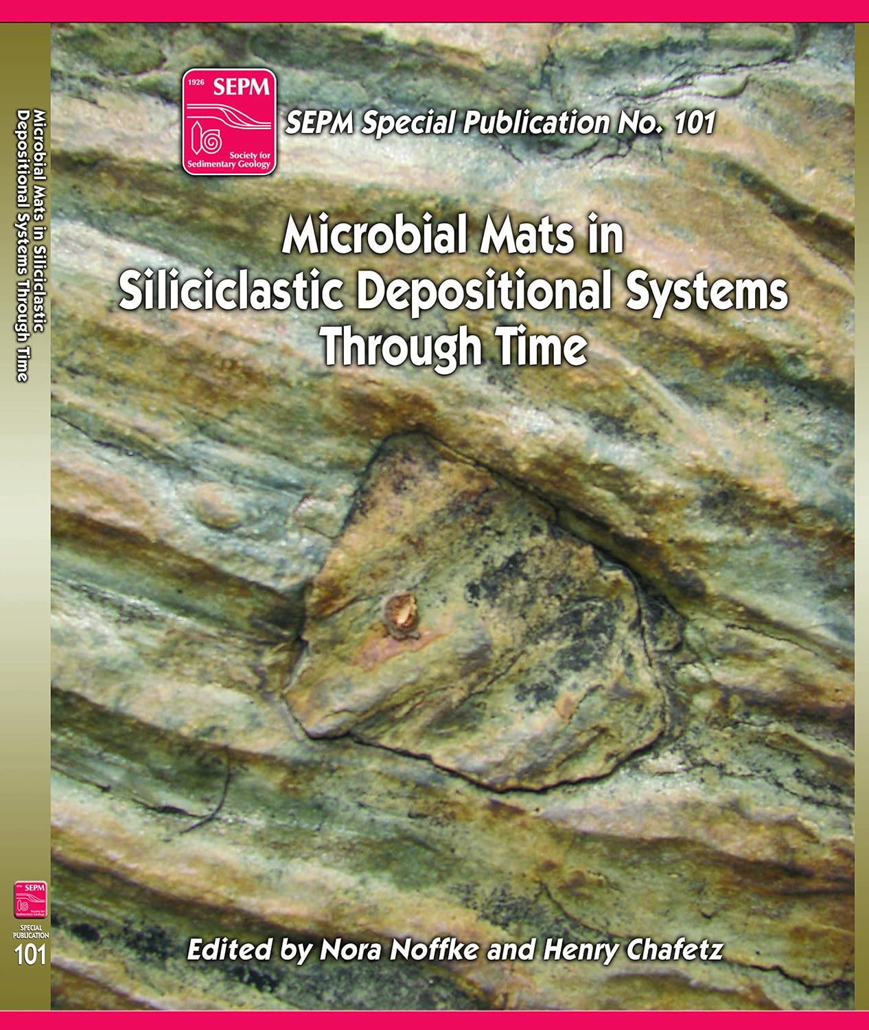 Microbial Mats in Siliciclastic Depositional Systems Through Time ...