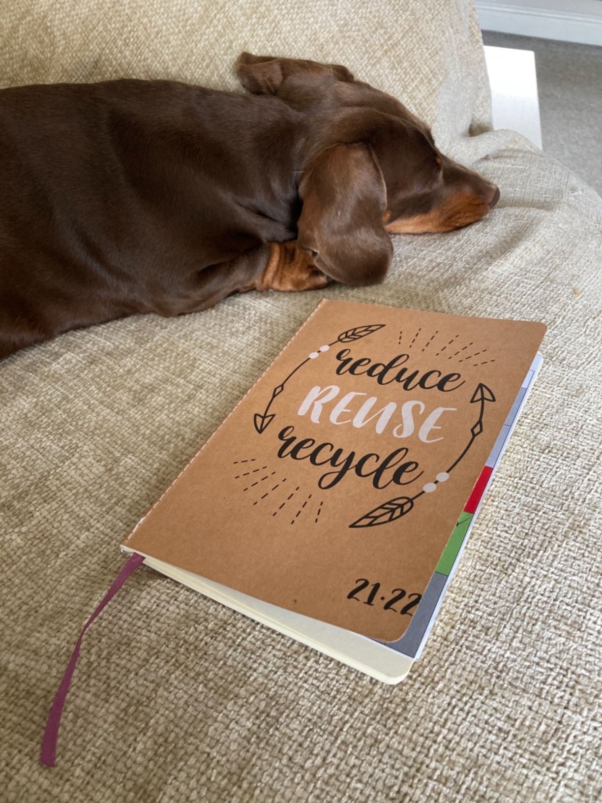 2023 Diary A5 Week to View 100% Fully Recyclable Eco Friendly Monthly ...