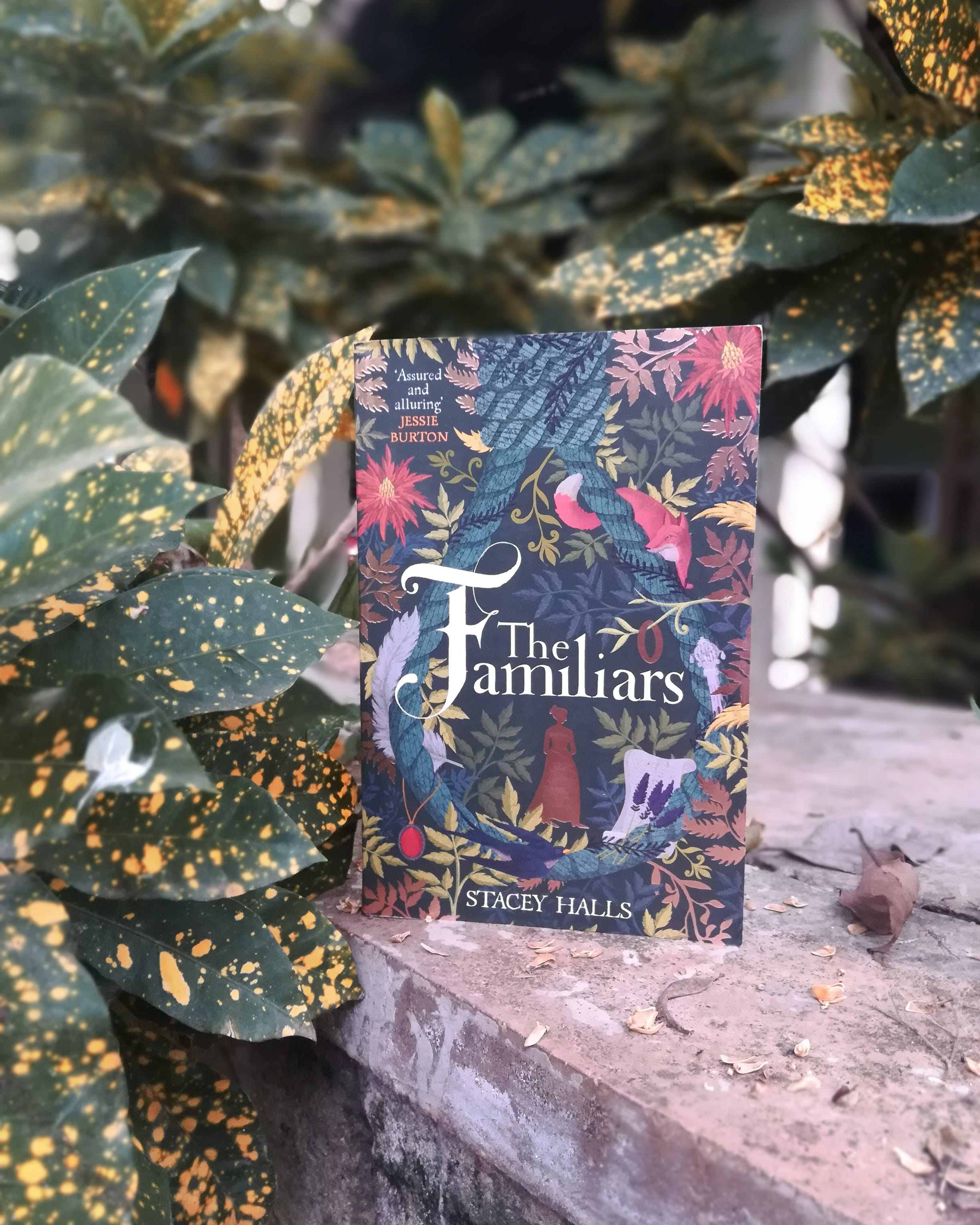 Buy The Familiars Book Online at Low Prices in India | The Familiars ...