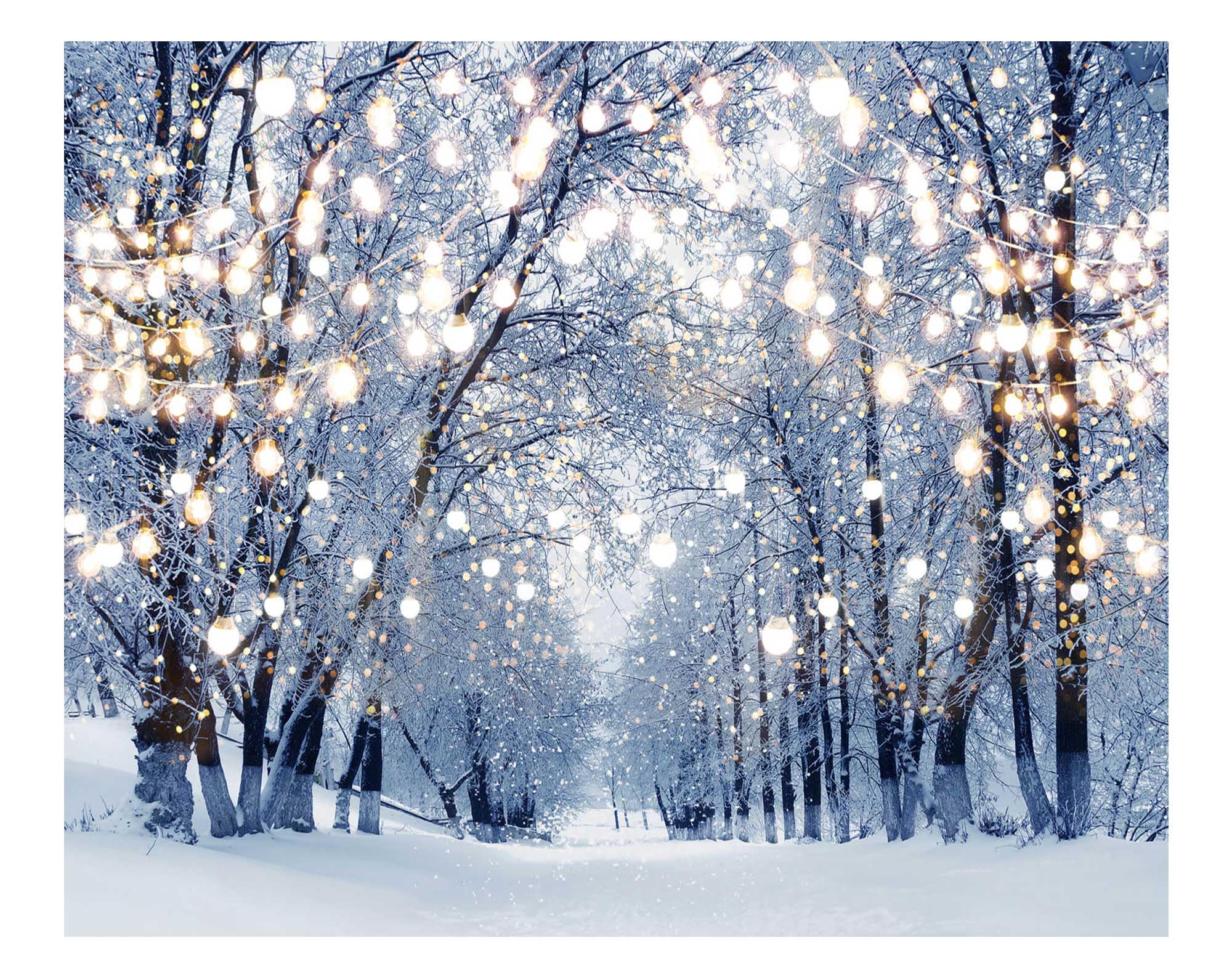 Winter Scene Backgrounds