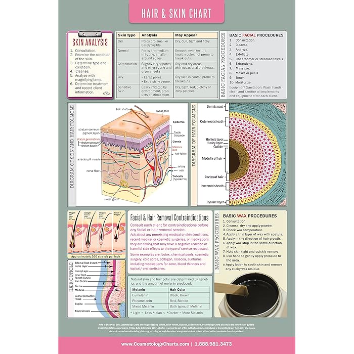 Buy Educational Salon Skin Care Anatomical High Gloss Laminated Poster ...