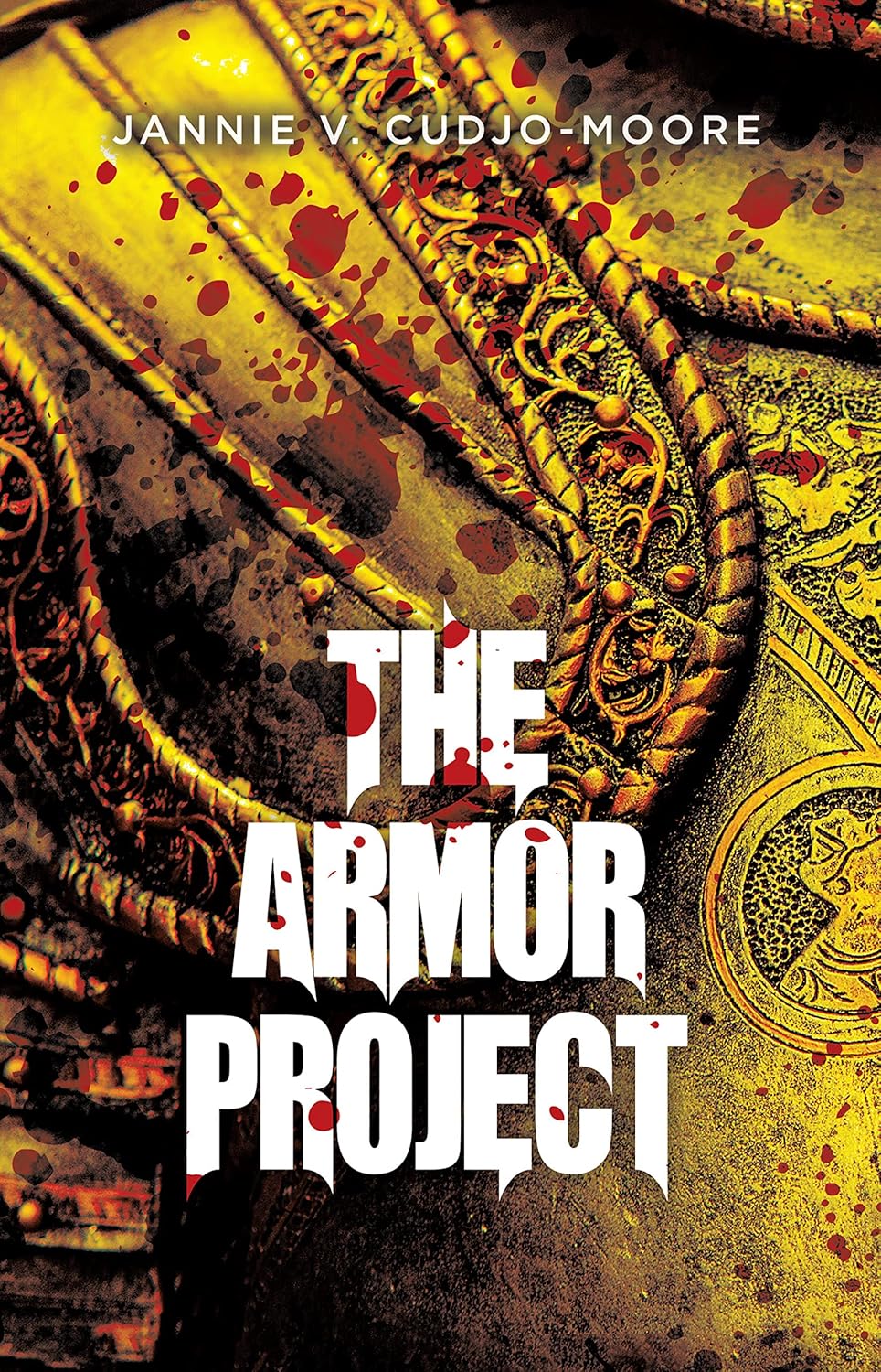 The Armor Project - Kindle edition by Cudjo-Moore, Jannie V.. Religion ...