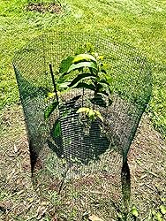 Amazon.com : 3 Large Fold-Away Bush Plant Protectors Supports (Vinyl ...