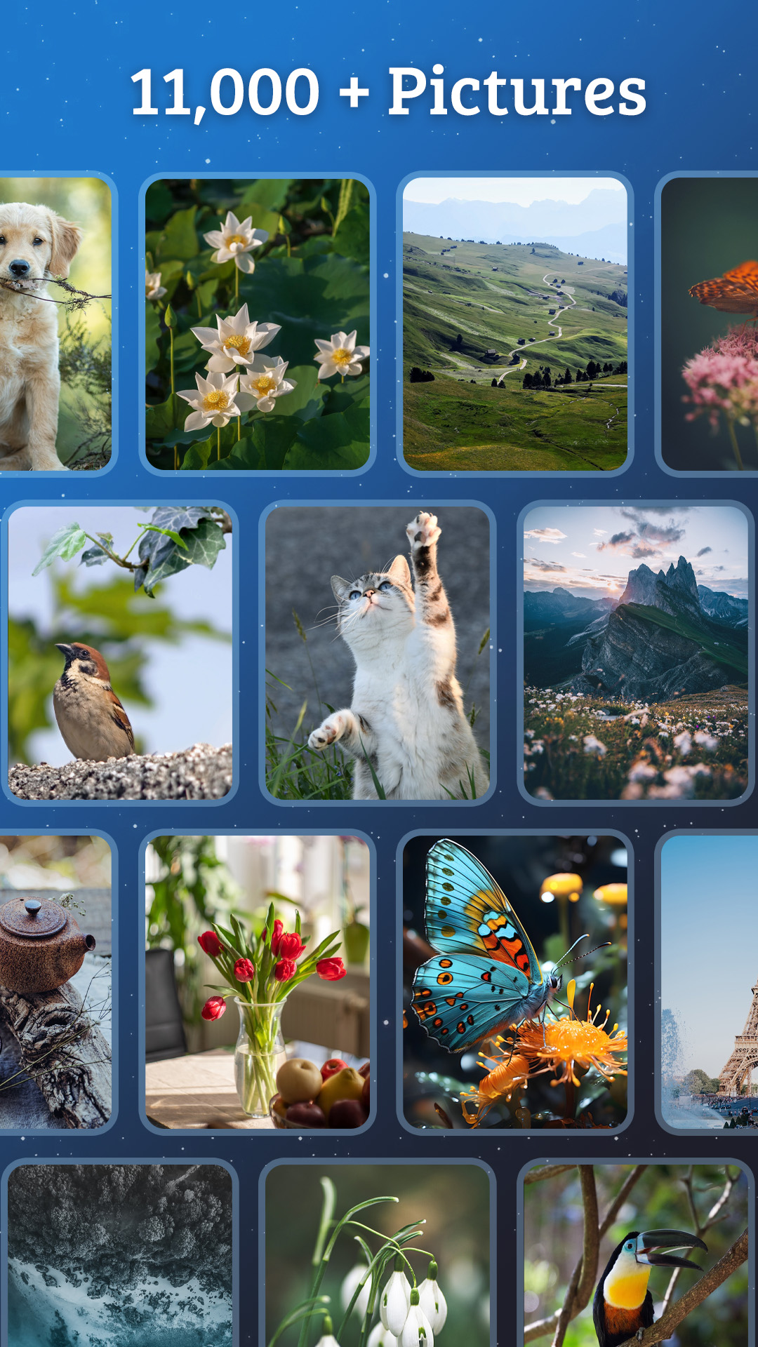 Daily Coloring - Free&Fun - App on Amazon Appstore