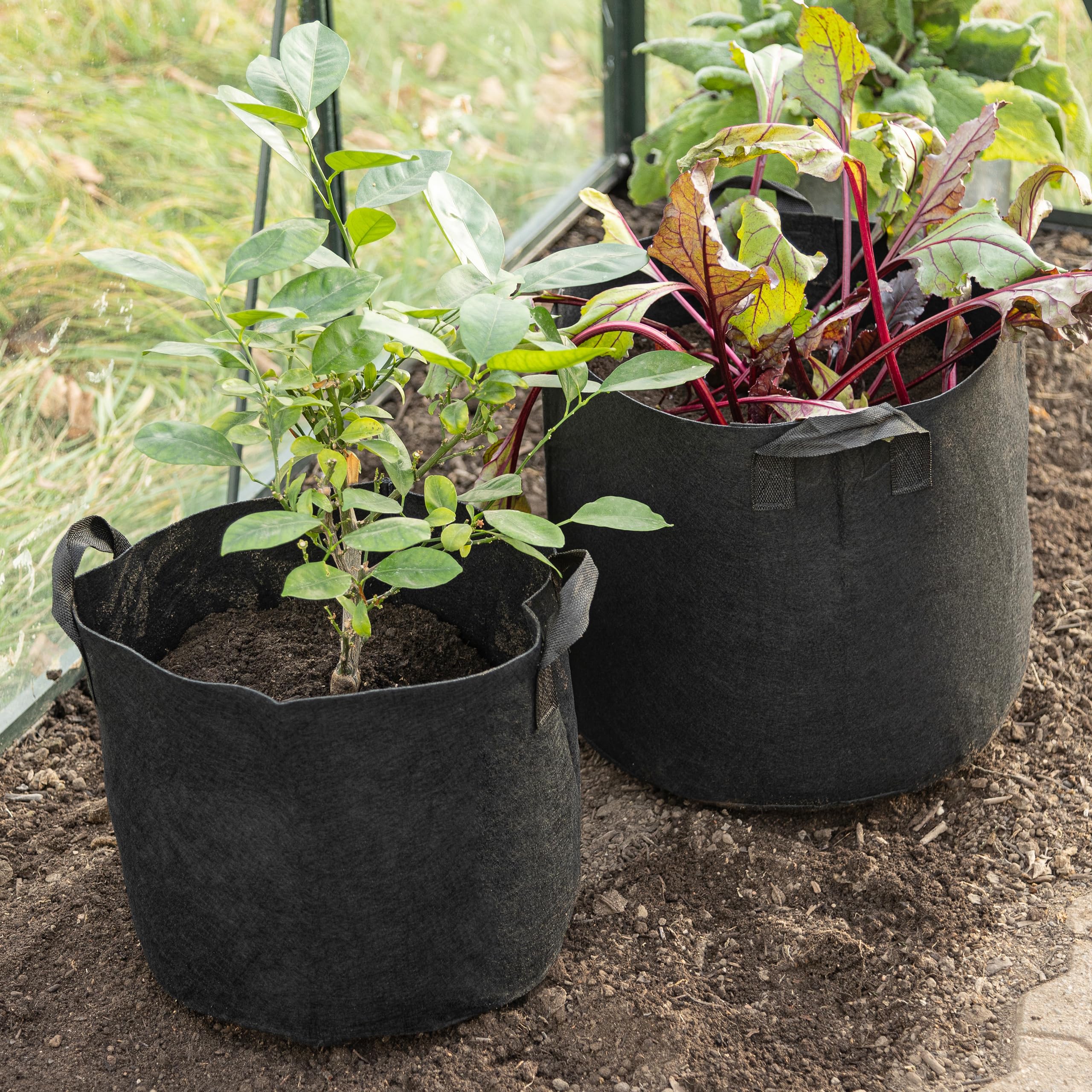 Snapklik.com : Plant Growing Bags : 4x5 Gallon Plant Grow Bags For ...