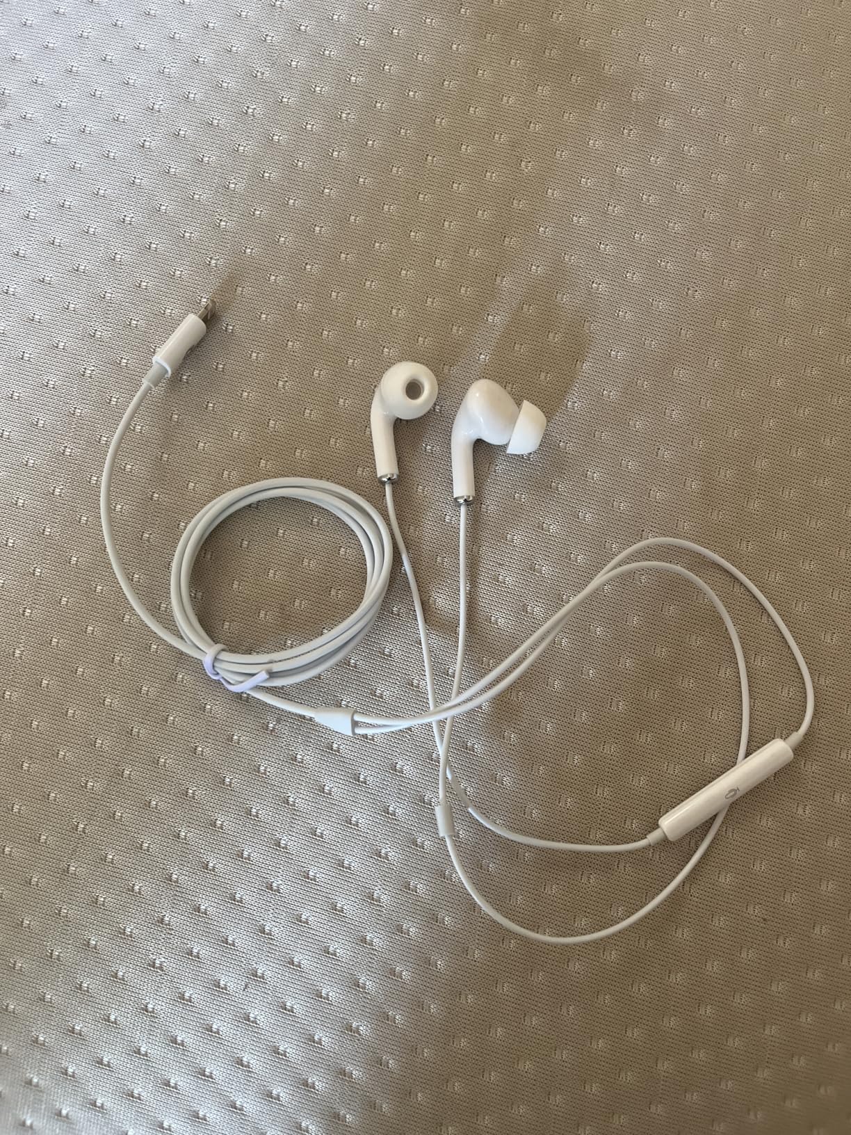 Candytech Wired Headphones In Ear Earphones with 10mm Drivers, in-Line ...