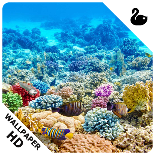 Coral Wallpapers - App on Amazon Appstore