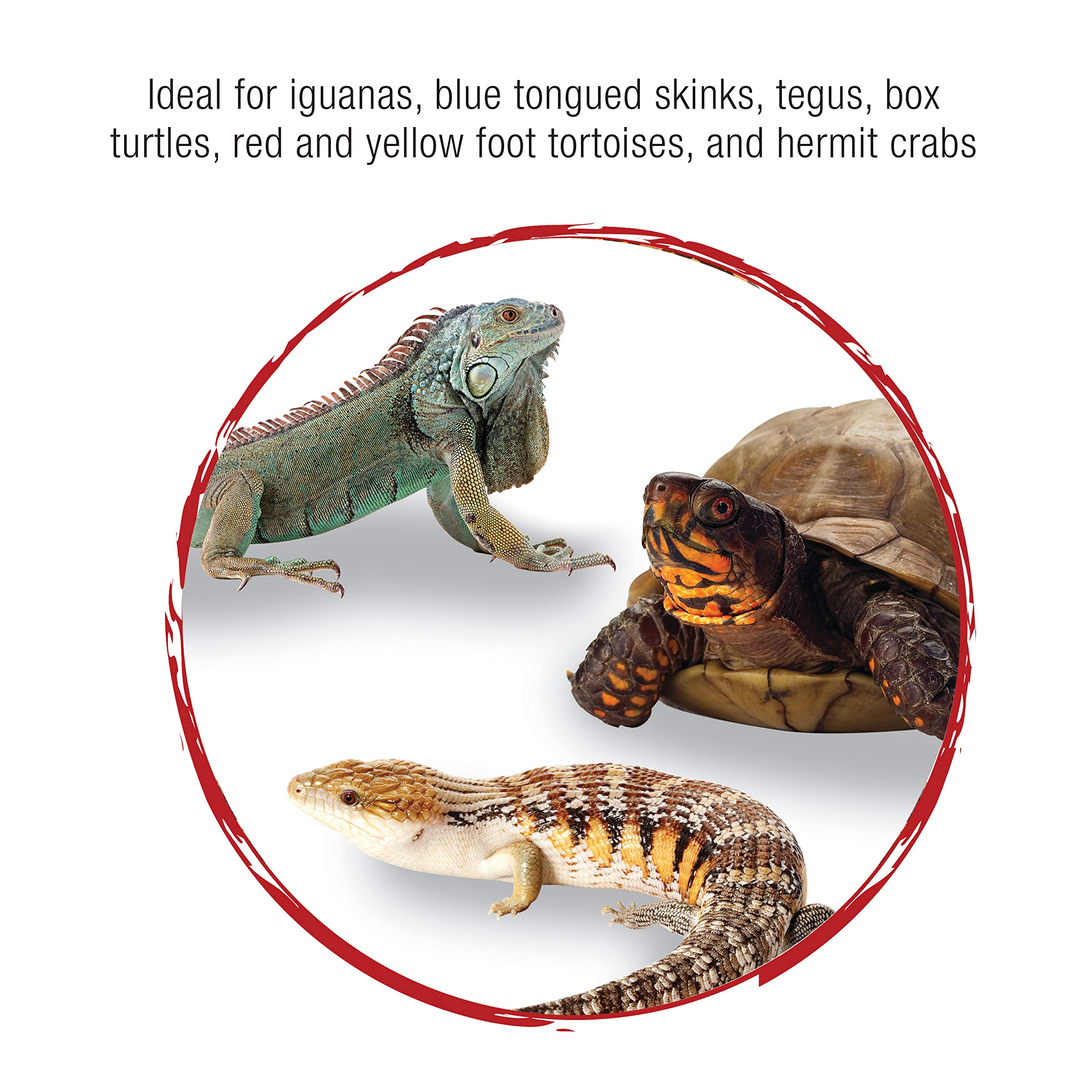 Snapklik.com : Zilla Reptile Food Munchies Fruit Mix For Pet Iguanas